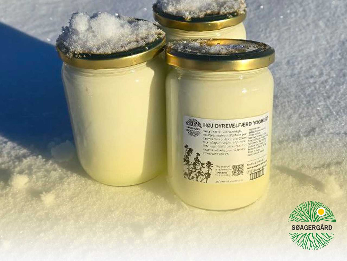 Buy high animal welfare yoghurt (full fat, grass-fed) in Copenhagen ...